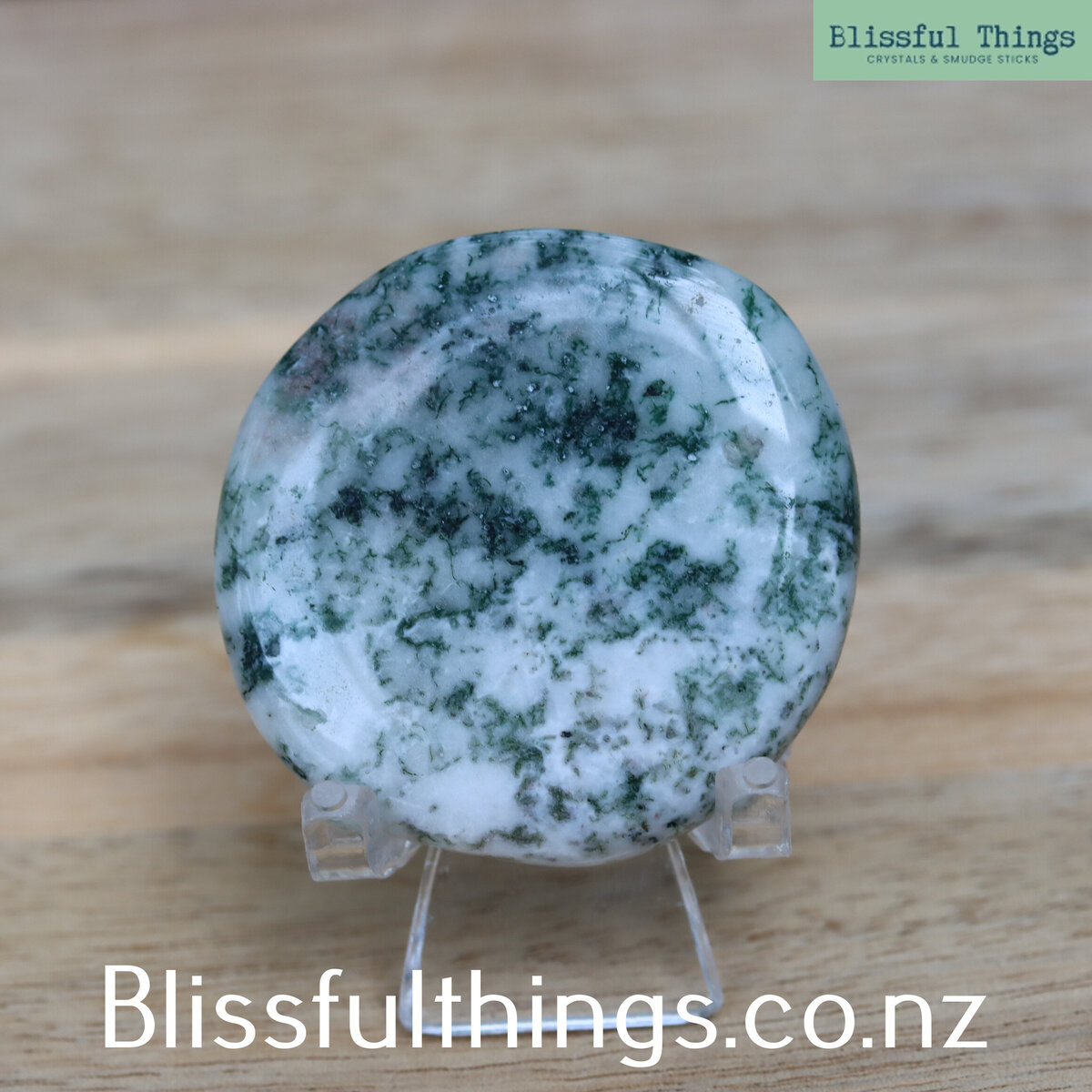 Tree Agate | Kristy Phillips