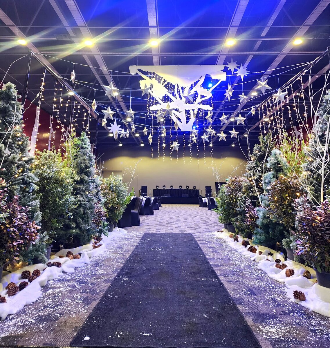 John Paul College Ball - Starry Night | Wild Apricot Creative Events ...