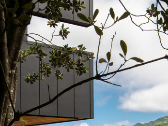 Erskine Project Overview | The Wellington Company