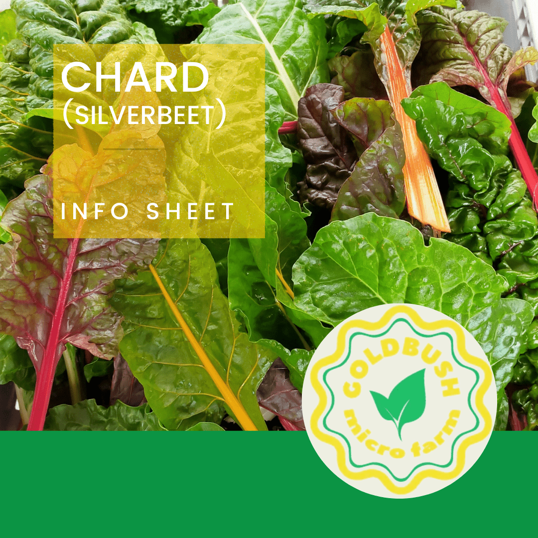 Rainbow Chard Info Sheet | Goldbush Micro Farm