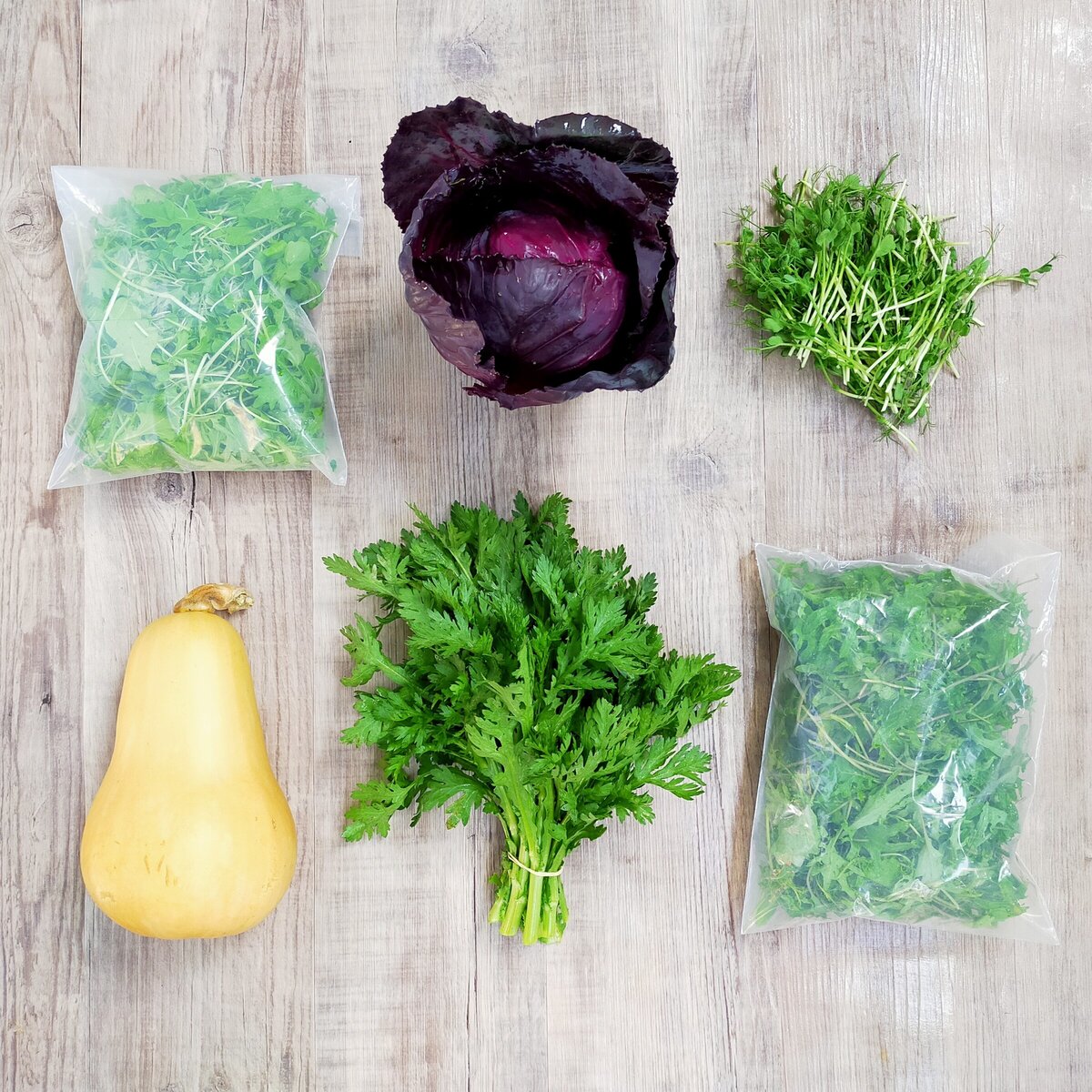 Local, Nutrient Dense, Delicious Vegetables | Goldbush Micro Farm