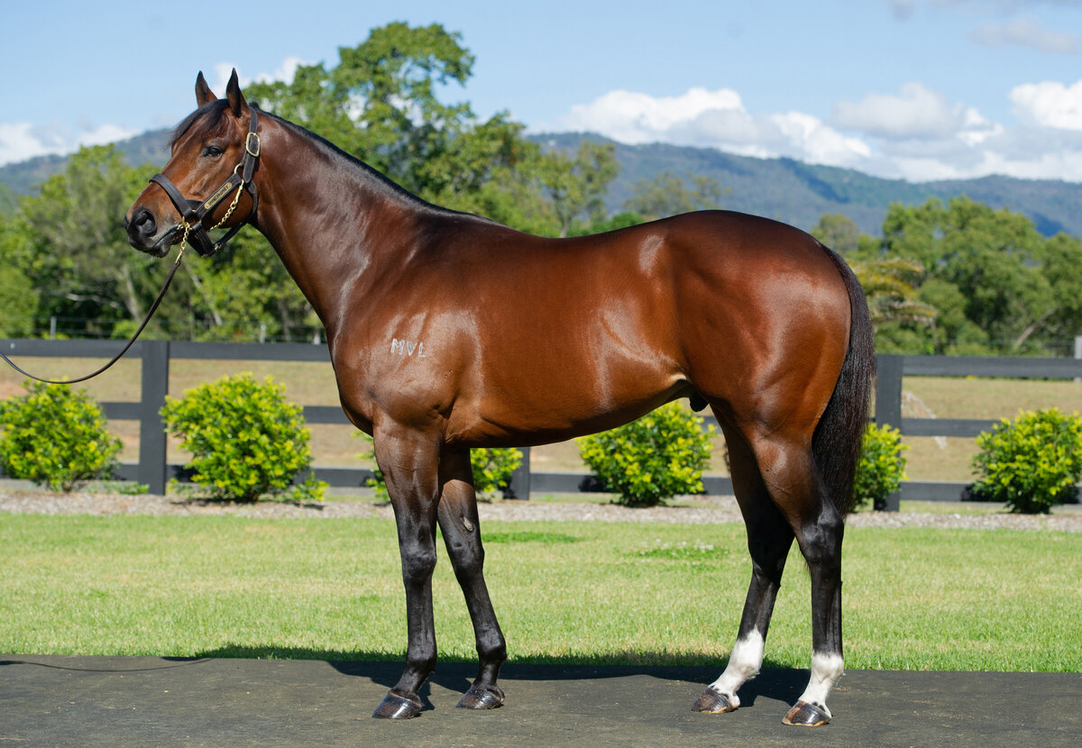 Proisir crowned Champion Sire | Highview