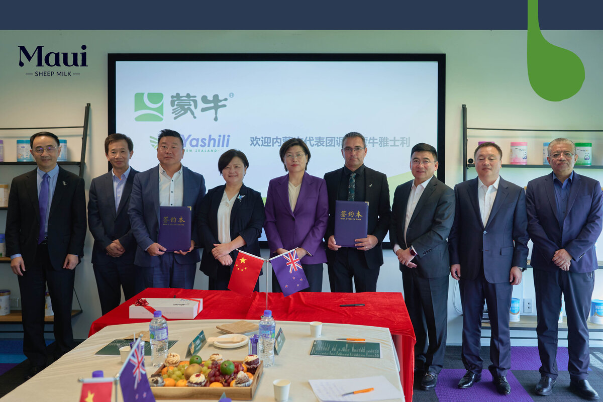 Maui Milk Partners with Mengniu – A New Era for Global Sheep Milk ...