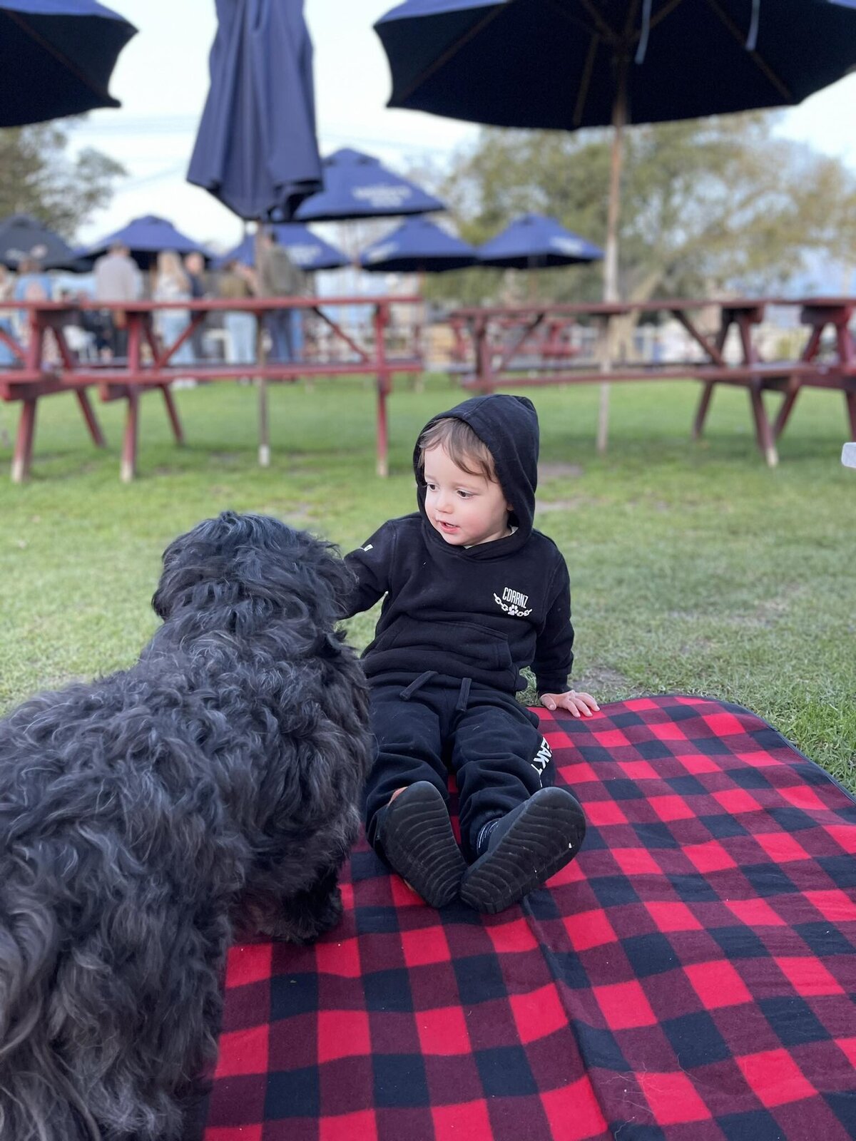 Dog Safety for Kids | The Dog Rescue Project