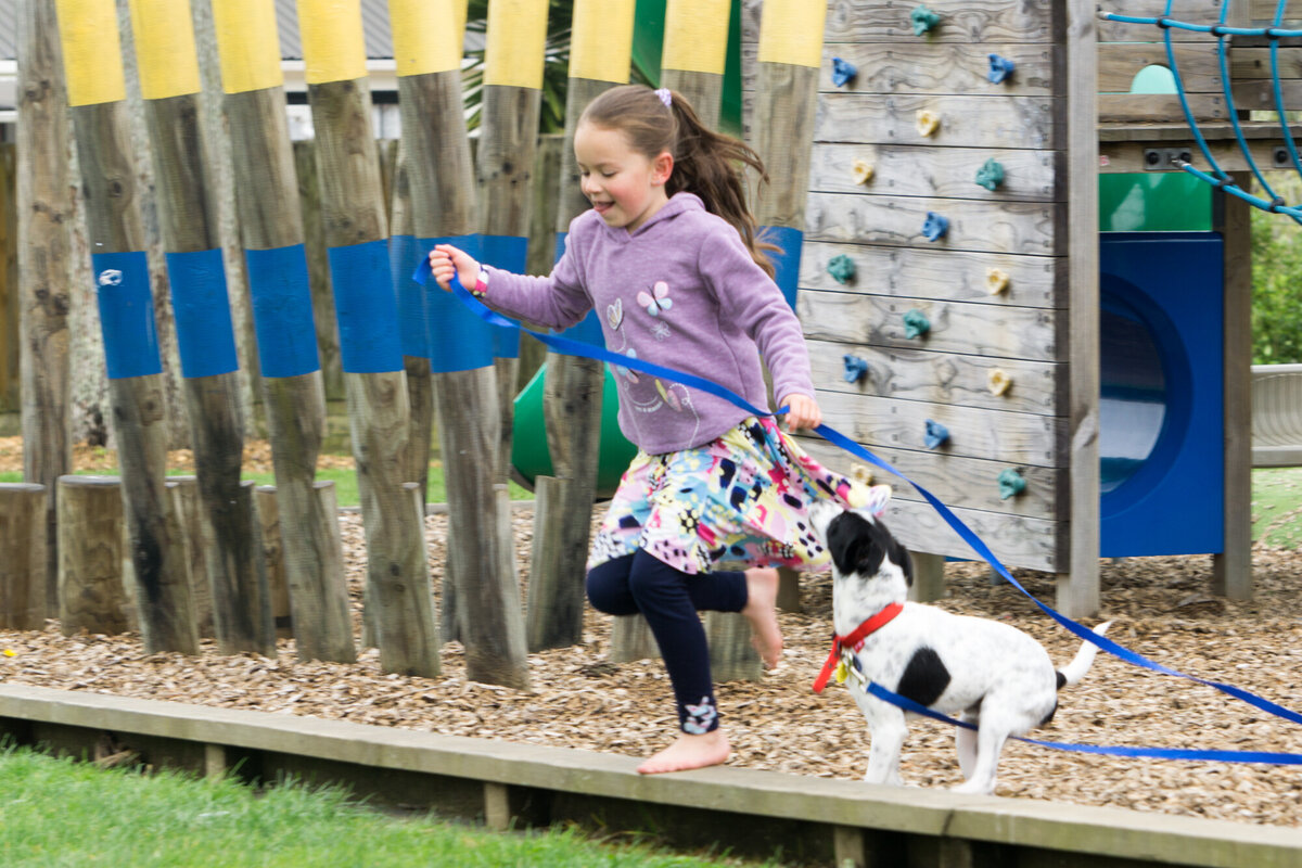 Dog Safety for Kids | The Dog Rescue Project