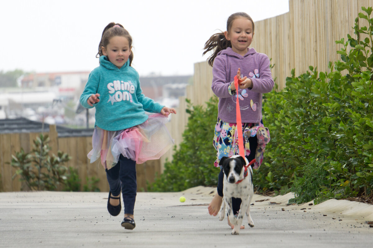 Dog Safety for Kids | The Dog Rescue Project