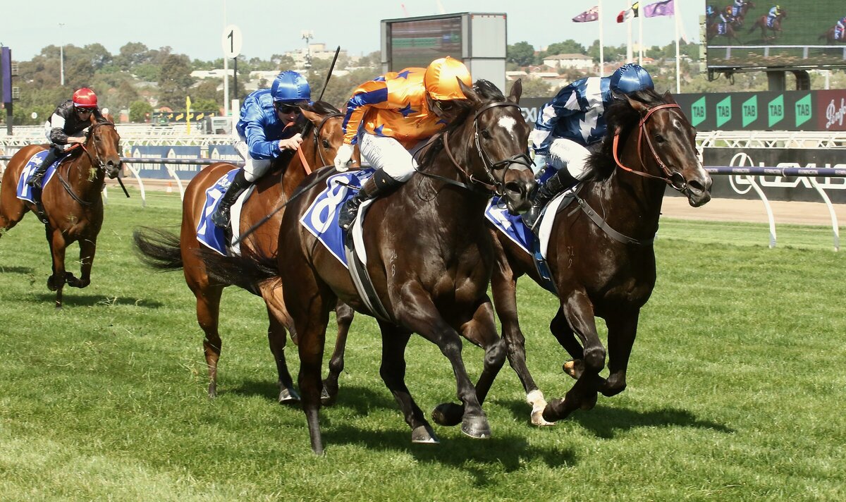 Champion sprinter Imperatriz recognised with Hall of Fame induction ...