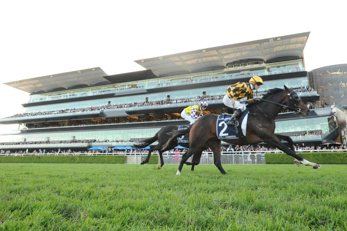 Dundeel to be inducted to New Zealand Racing Hall of Fame | NZ Racing ...