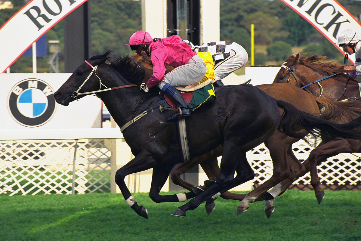 The Big O was one of a kind in an era of great racehorses | NZ Racing ...