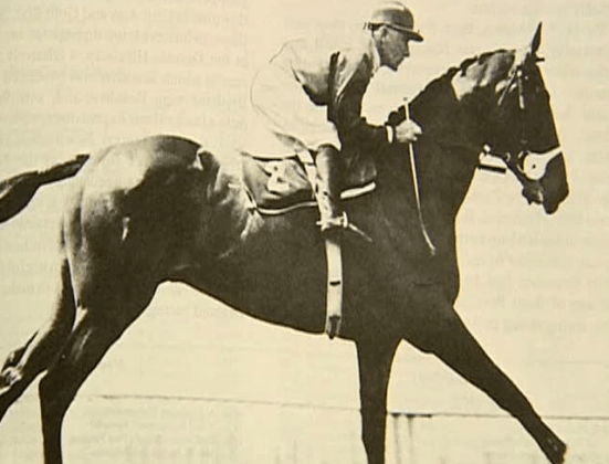 New Zealand Racing Hall of Fame