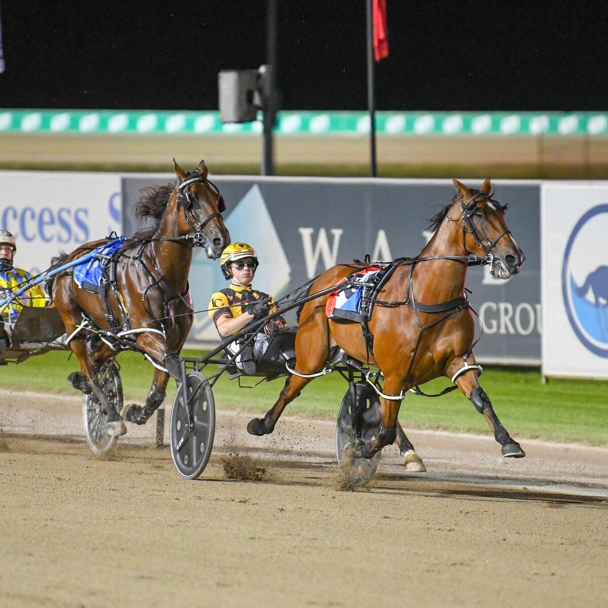 Jack ready to pack his bags for The Race | Night of Champions