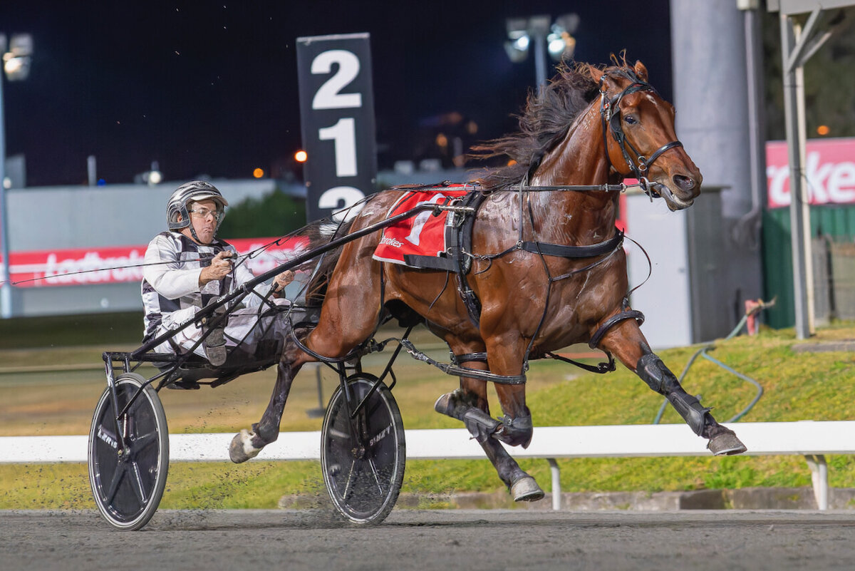 Seymour confirms NZ trip for Leap To Fame | Night of Champions