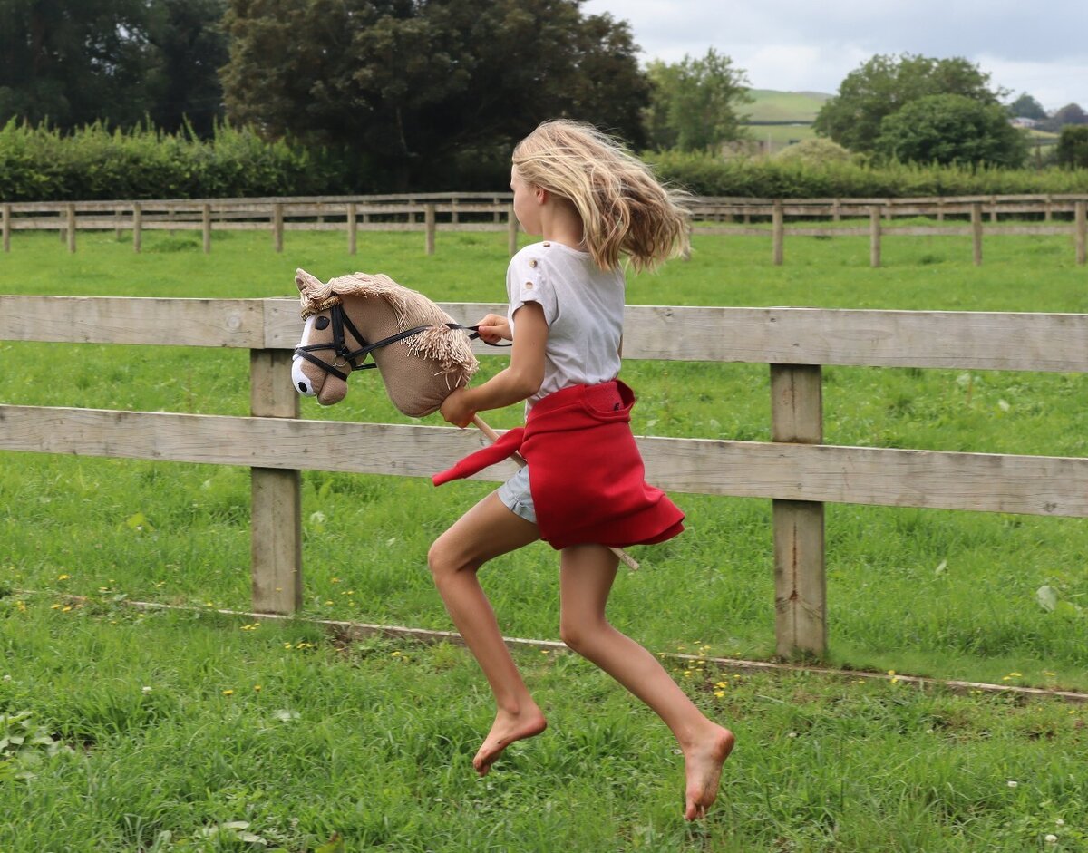 Quality hobby horses | About PonyPals