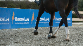 Design and build Auckland | Waikato | Master Builders | Harrison Lane