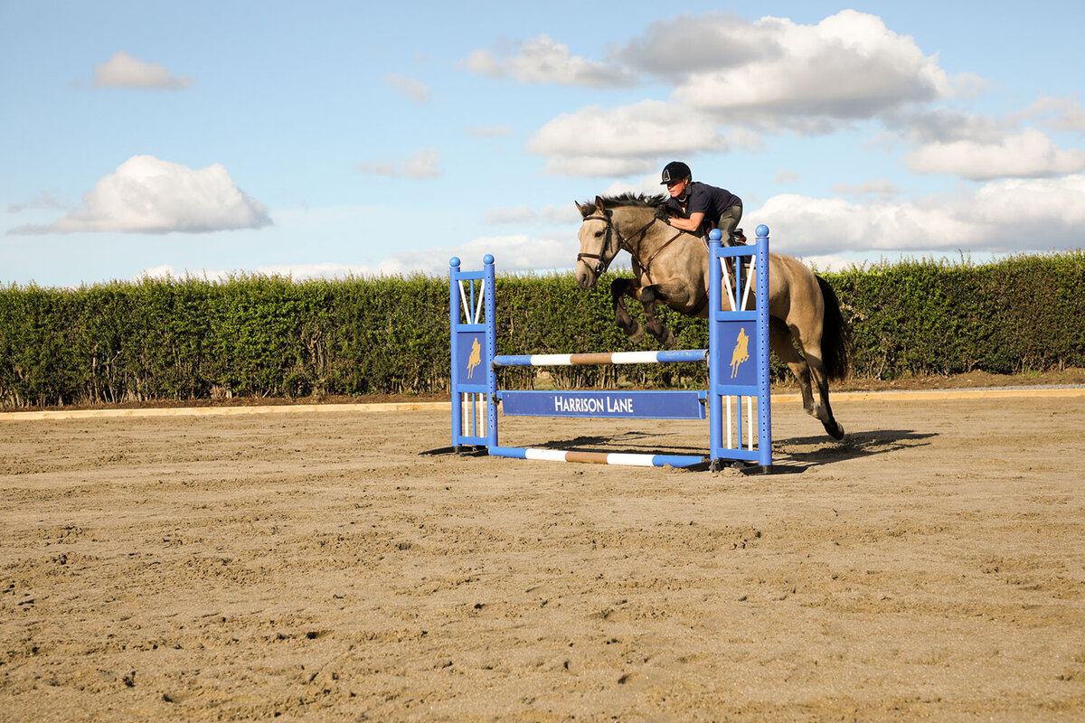 Our Arena construction methods and surface options | Harrison Lane