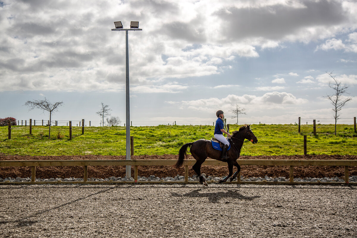 VIDEO - New Arena Surface By Harrison Lane | Harrison Lane