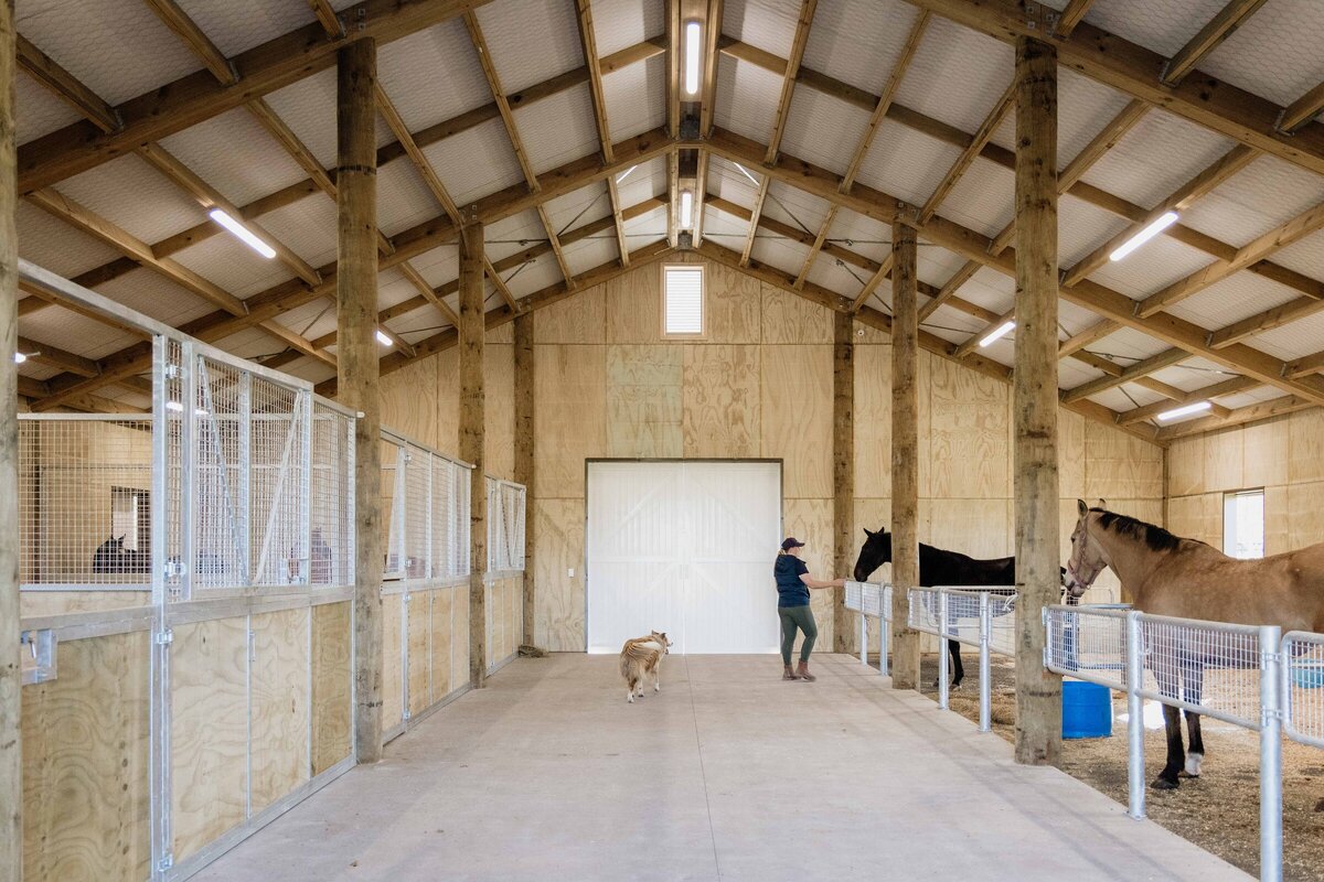 North Ridge Stud Stables | Clevedon | Harrison Lane