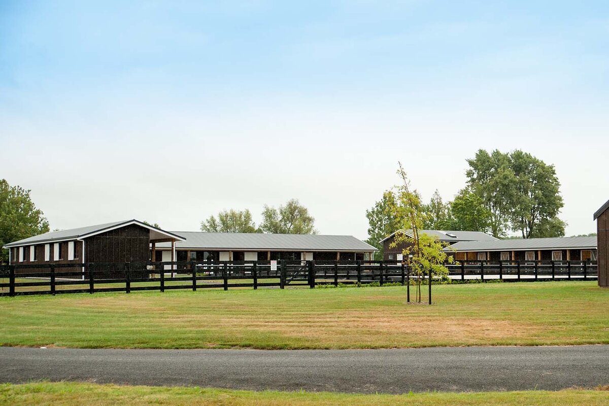 Equestrian Construction NZ | Harrison Lane