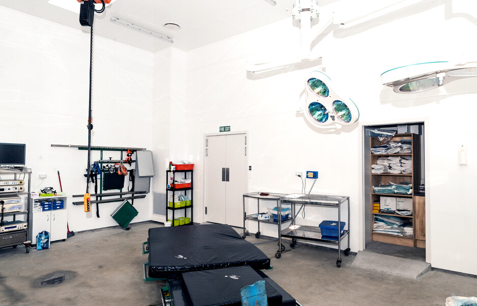 Commercial equestrian construction | Harrison Lane