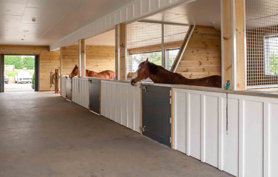 Oxford Barn with stables Karaka | Design and build project | Harrison Lane