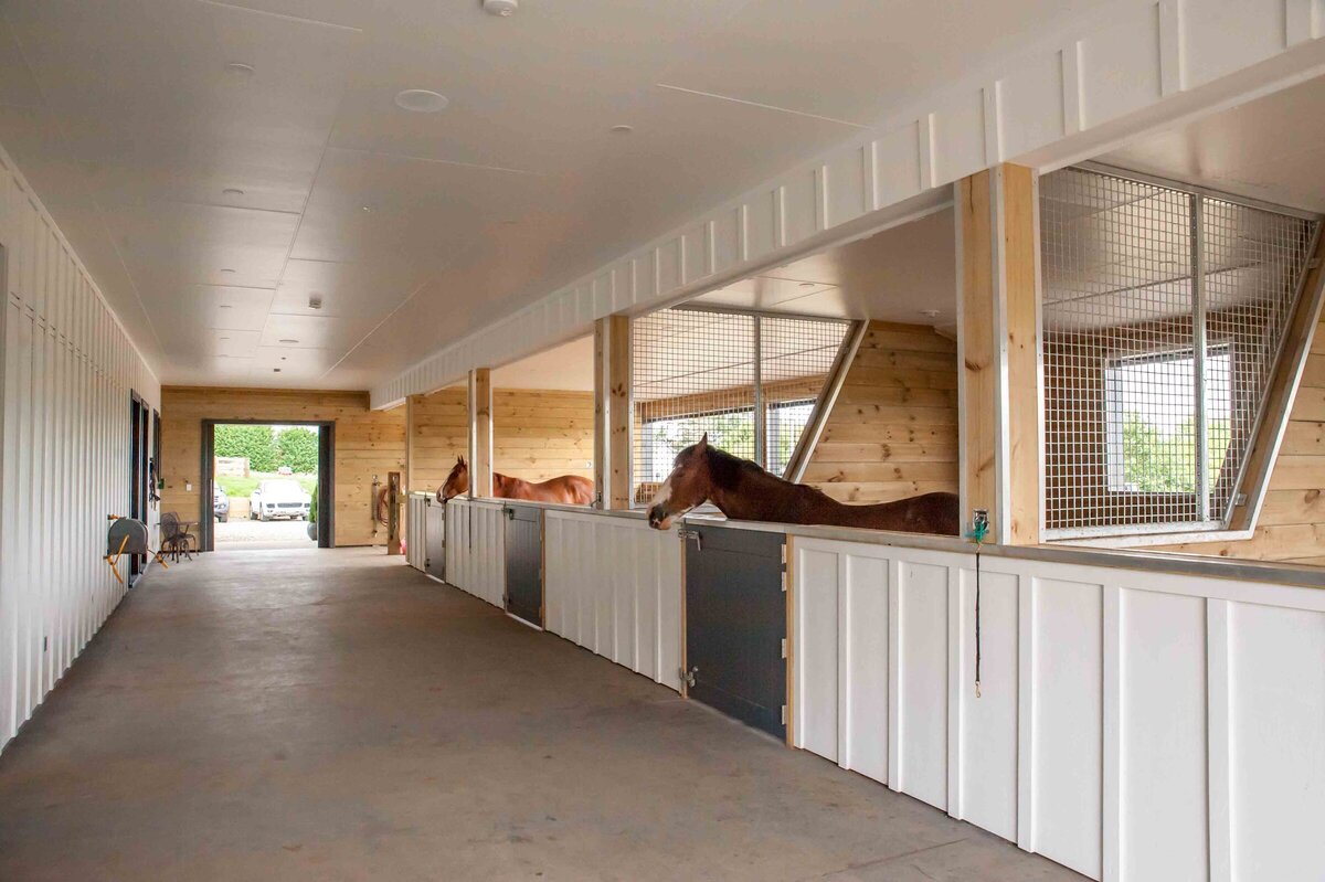 Oxford Barn with stables Karaka | Design and build project | Harrison Lane