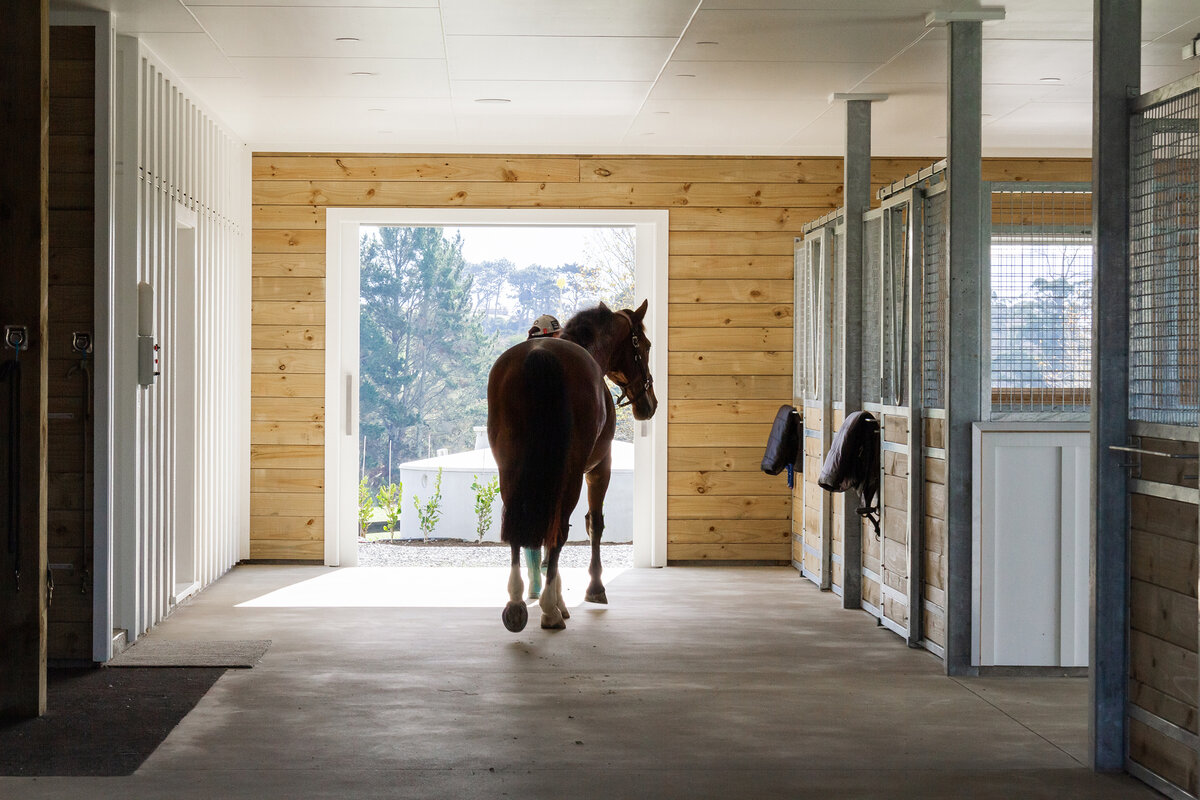 Build Stables NZ | Harrison Lane