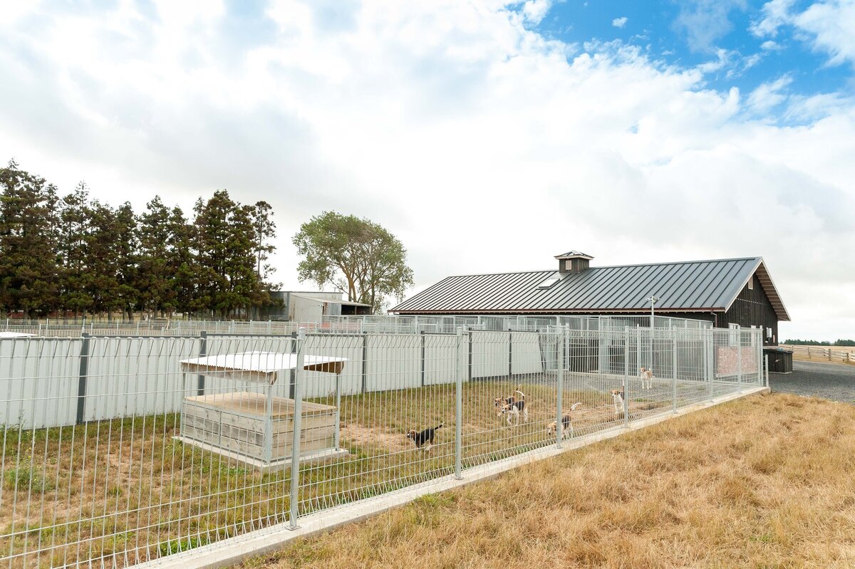 Pakuranga Hunt kennels Pukekawa | Design and build project | Harrison Lane