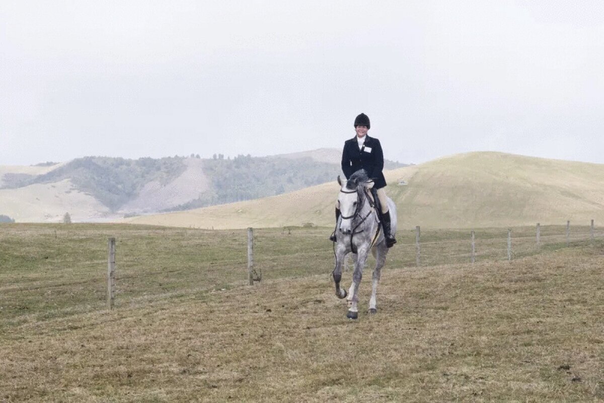 Our Story | Harrison Lane