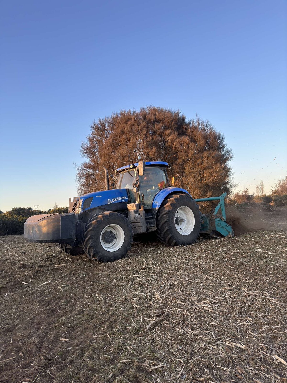 Our Services - Green Contracting's Mulching and More | Green Contracting