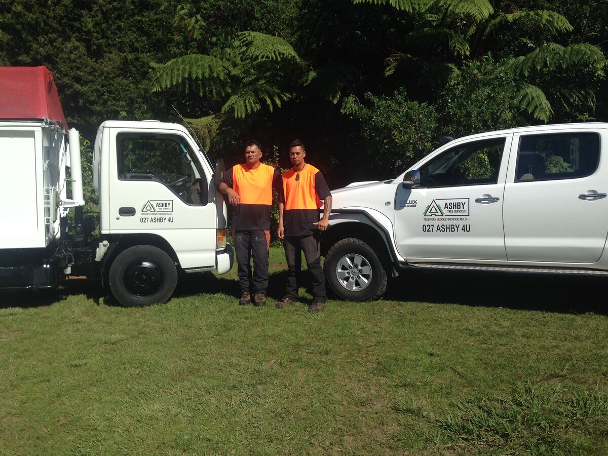 Arborist Services | Tree Work, Hedges, Stump Removal & More | Ashby ...