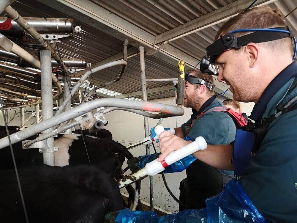 Scanning options with VetSouth | VetSouth