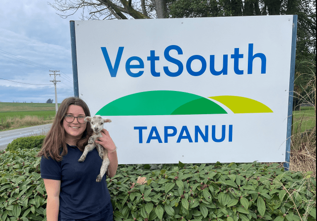 Meet the vet flock: Holly | VetSouth