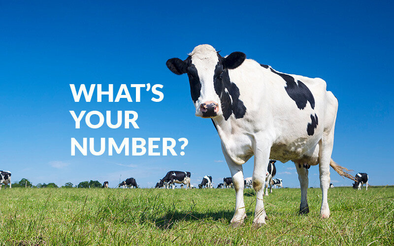 Getting repro ready | VetSouth