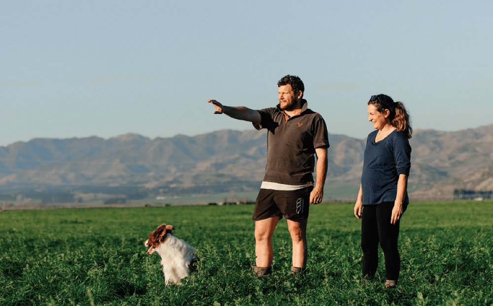 Why vaccinate for Rotavec Corona? | VetSouth