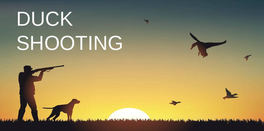 Duck shooting: Protect your stock | VetSouth