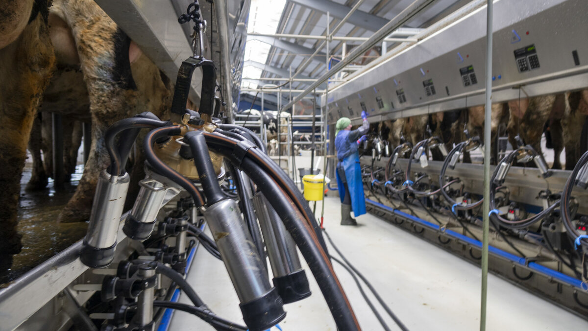 How is your milk quality? | VetSouth