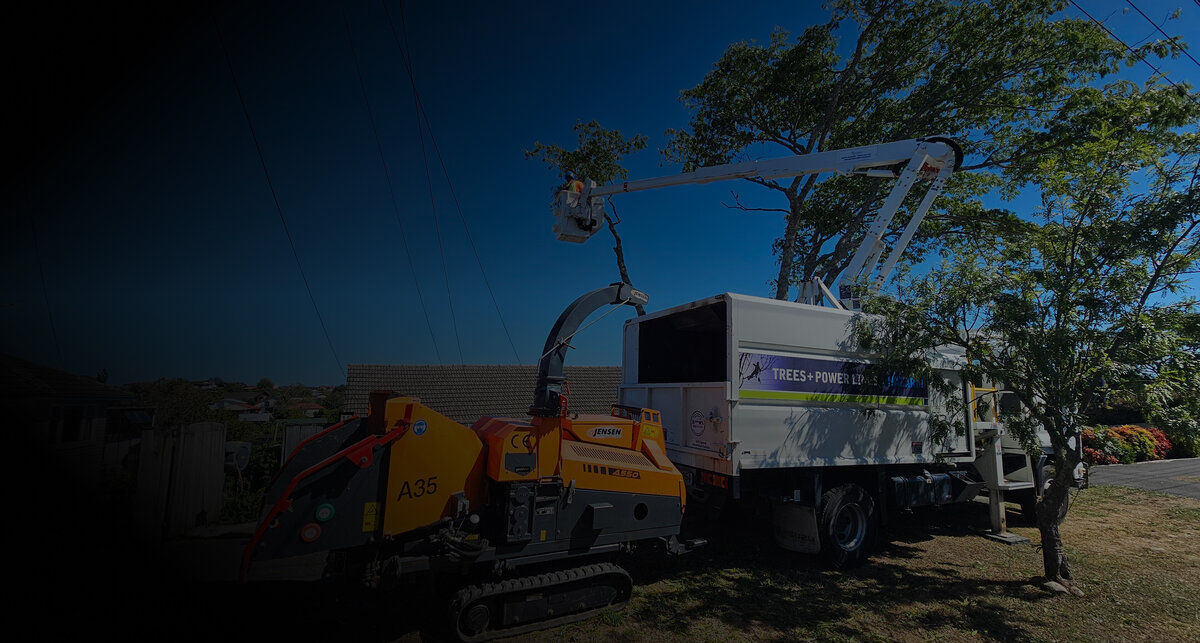 Powerline Clearing & Tree Trimming Services | Triggers & Trees
