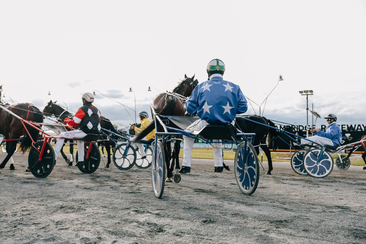 Neal trotter set for Cambridge debut | Cambridge Raceway