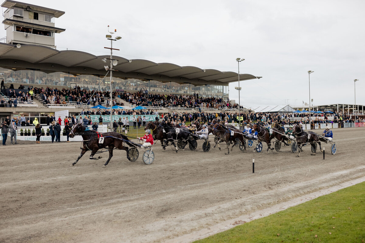 Cambridge Raceway launch The Race | Cambridge Raceway