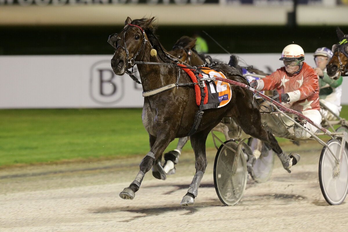 Trotter set to peak at Cambridge | Cambridge Raceway