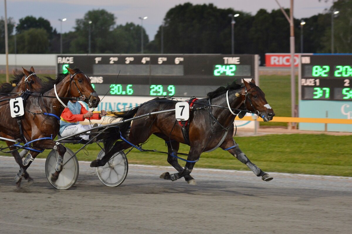 Cup victory for About Turn | Cambridge Raceway