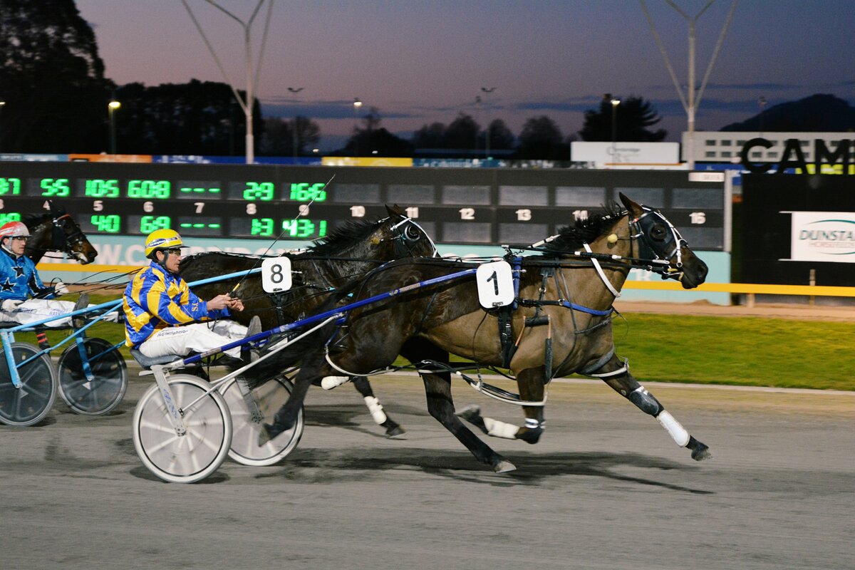 Dickson heads premiership after opening night | Cambridge Raceway