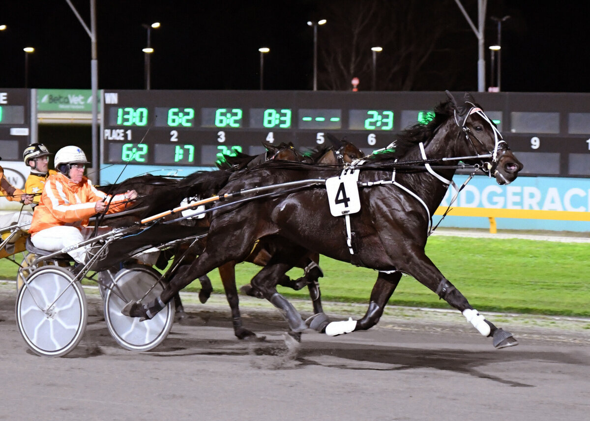 Stable favourite gets home track win | Cambridge Raceway