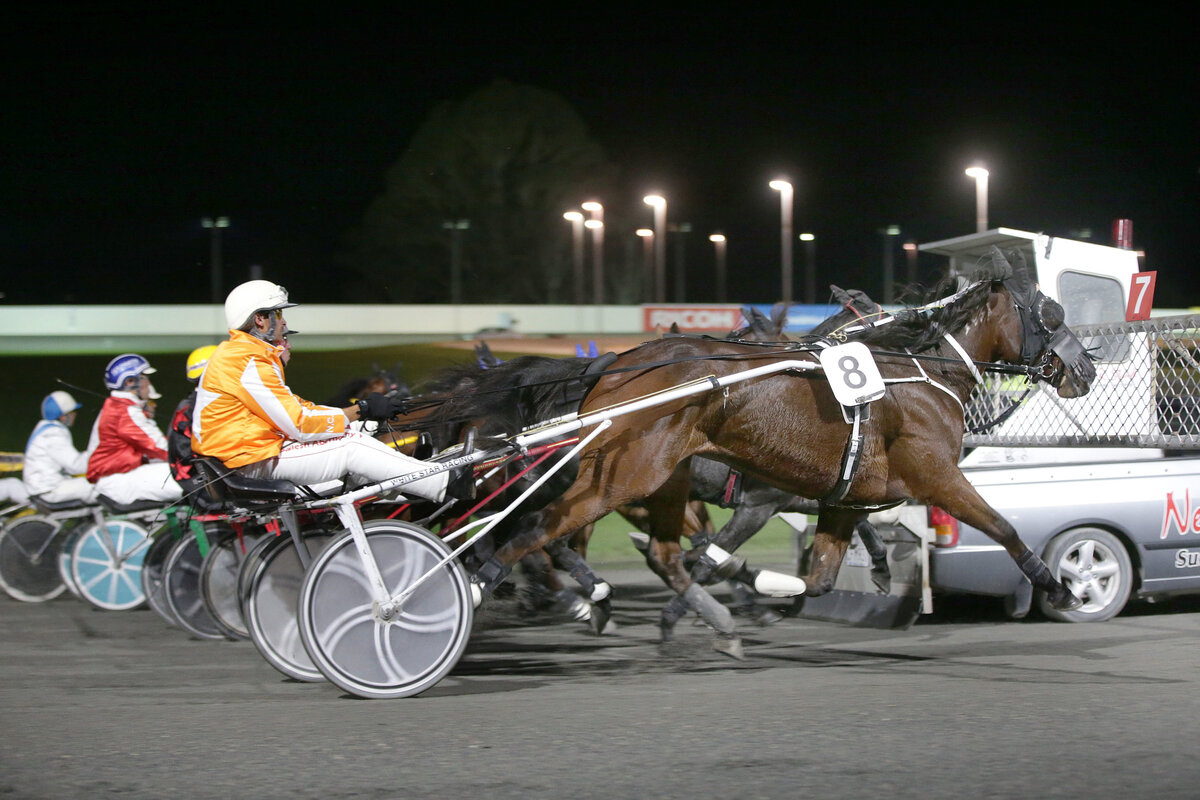 Chilcott chalks up another Oaks win | Cambridge Raceway