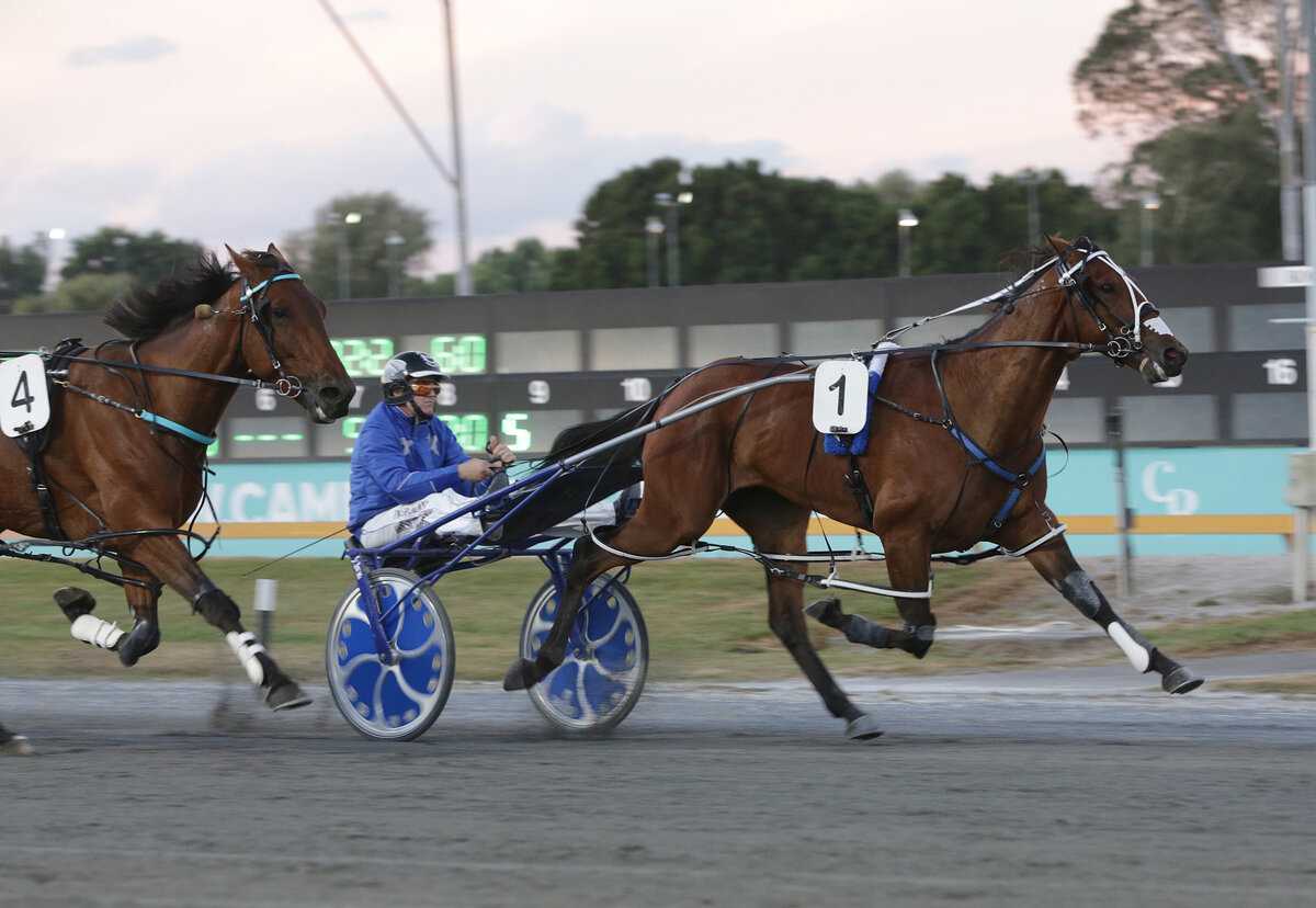 Harness action Turned Up at centenary meeting | Cambridge Raceway