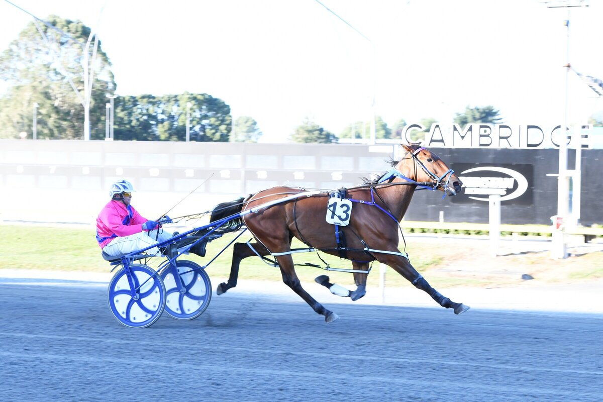 Local double for Donnelly | Cambridge Raceway