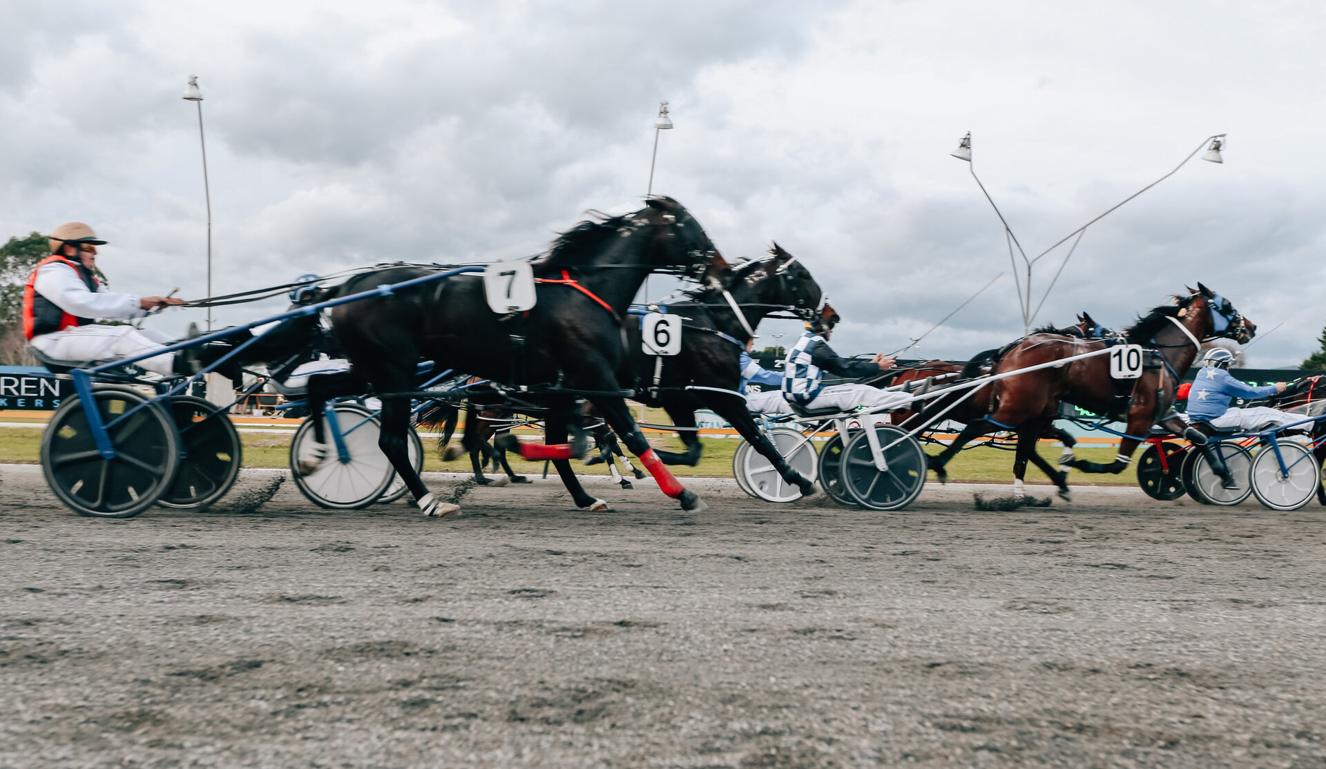 New Zealand’s richest harness Race this Thursday | Cambridge Raceway