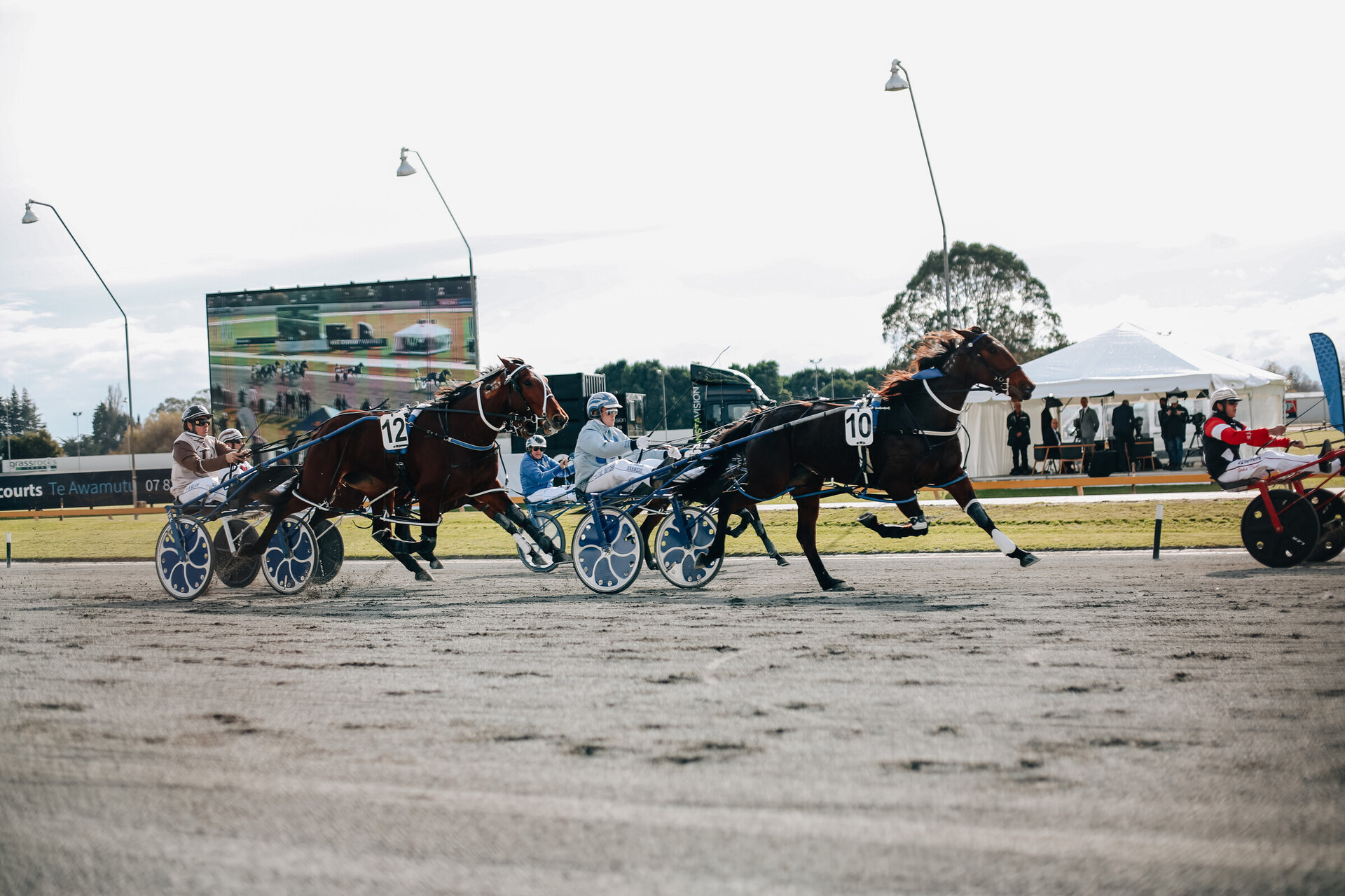 Racing Info | Cambridge Raceway