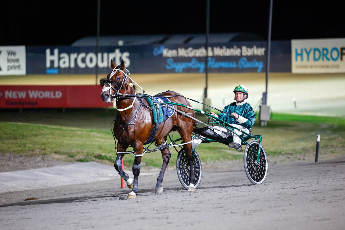 Attending The Races | Cambridge Raceway
