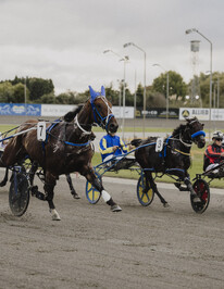 Cambridge Raceway | Function Centre & Race Track | Cambridge Raceway